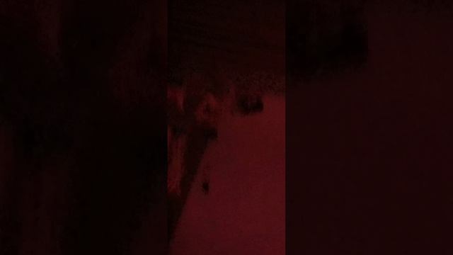 😱МЫ В КРАВАВОЙ КОМНАТЕ