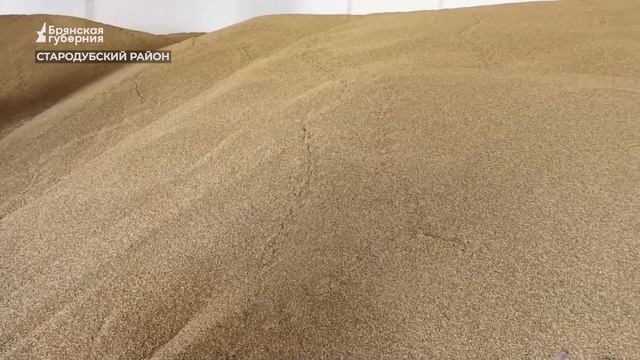 Брянское хозяйство «Красный Октябрь» обновило машинно-тракторный парк