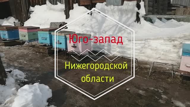 Начался новый пчеловодный сезон 2026 года. Планы на будущее
