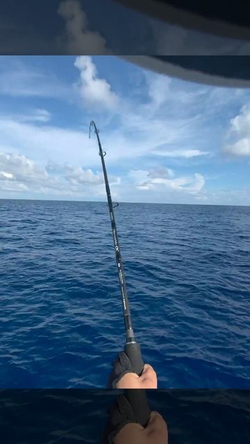 Ваху и рэд снеппер на стикбейт номер 9 от Mr.Musurok 🔥