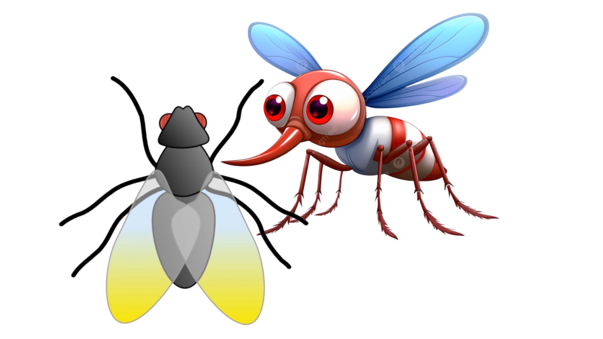 Муха-Цокотуха  Корней Чуковский