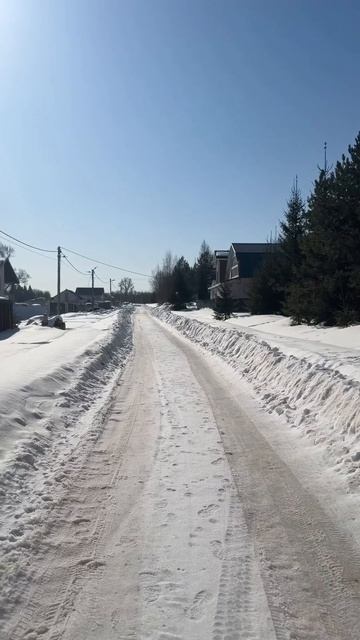 Земельный участок 10 соток с собственным качественным лесом и небольшим фундаментом в г. Александров