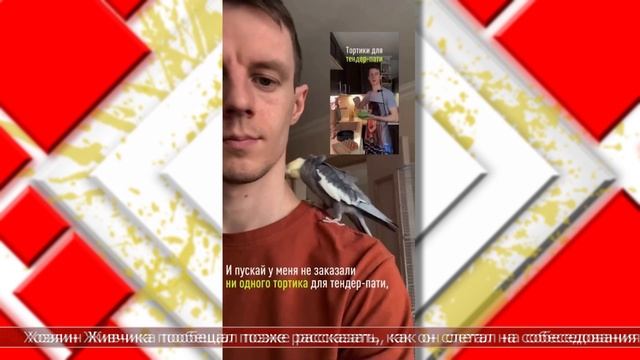 13.03.2026 Мировые новости