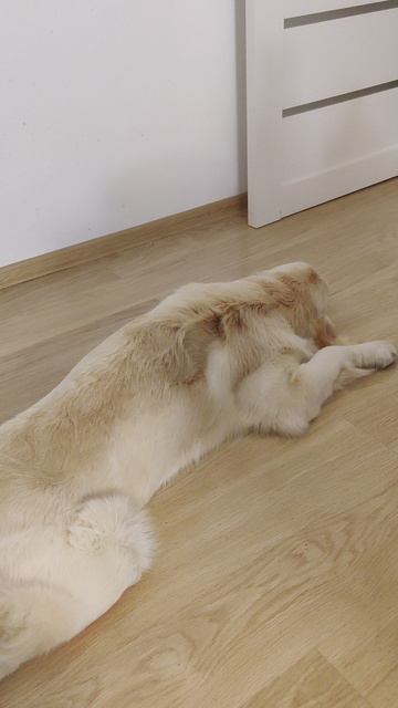 Сны и сновидения  Ахиллеса VID_20260228_005948