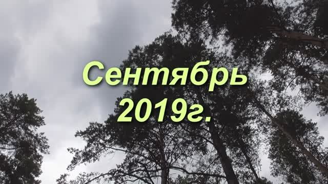 Страницы из 2019г 22ч