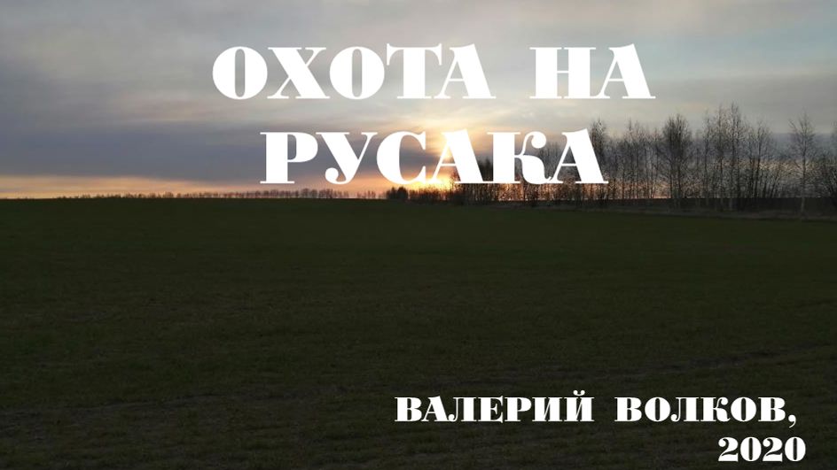 В.Волков Охота на русака (2020)