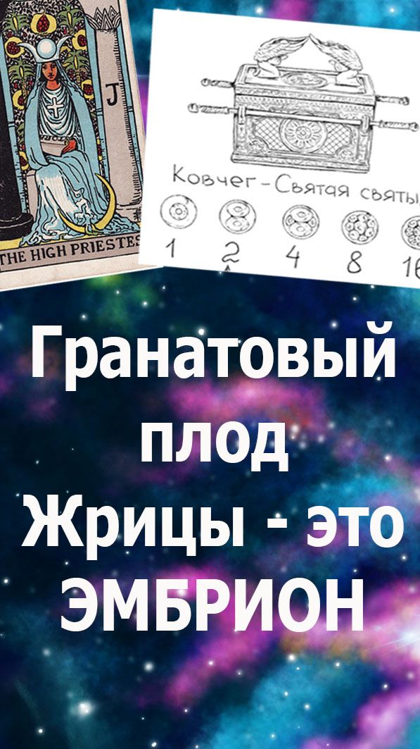 Таро: гранатовый плод 2 аркана Жрица - это эмбрион. 2 это код жизни. #таро#жизнь#