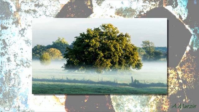 Vasim - Enter The Void