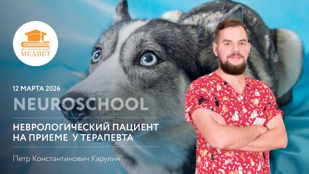 Вебинар "NEUROSCHOOL. Неврологический пациент на приеме у терапевта"