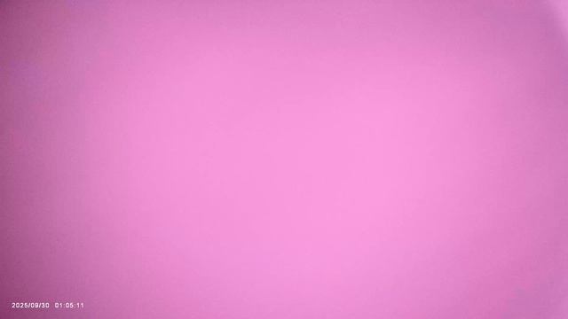 Вечерний клев. Сегодня порыбачил на Мормышку с мотылем🎣 Прикормка Стерля. Клёв вялый.