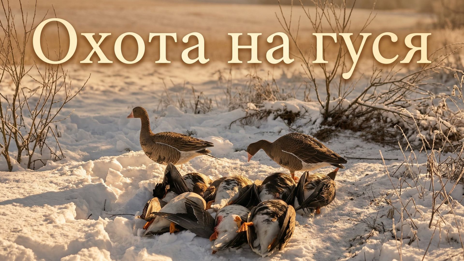 Охота на гуся #34.2 | Сильный мороз и неактивный гусь