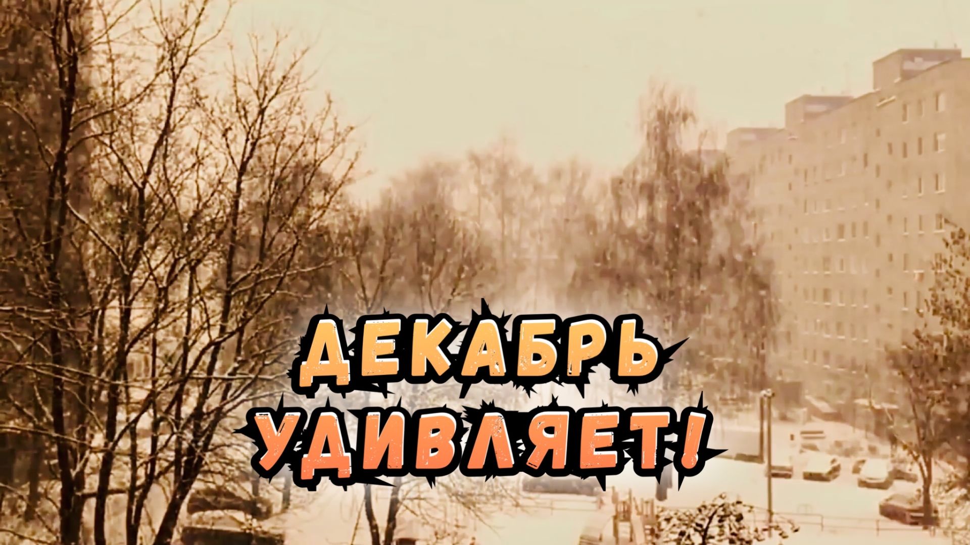 Декабрь удивляет / Архив от 09.12.2024