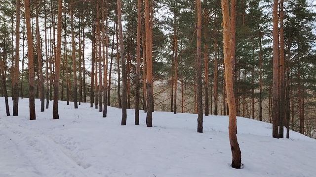 Почему руководство скрывает свои доходы?