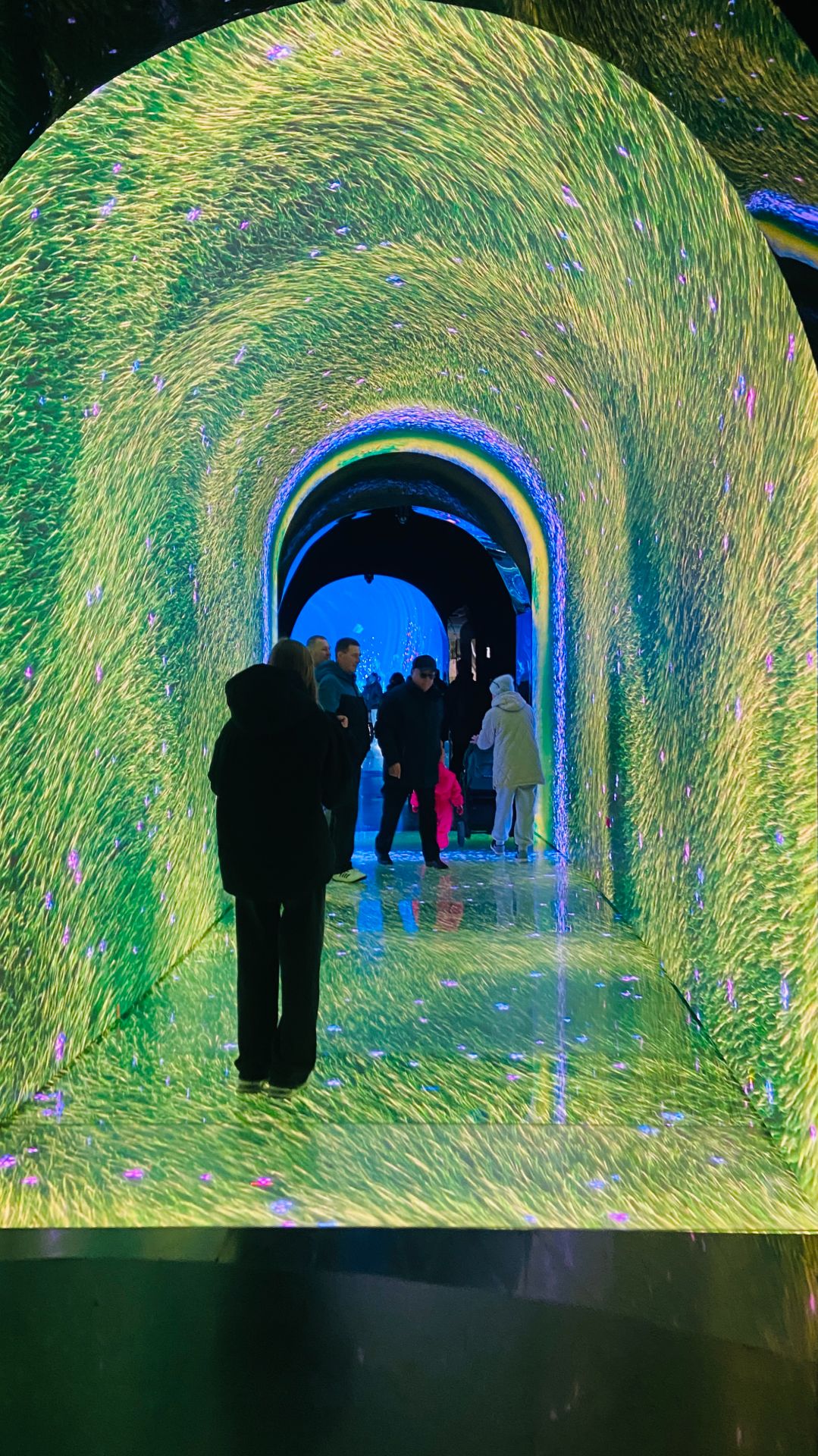 Кроличья нора, парк "Краснодар"