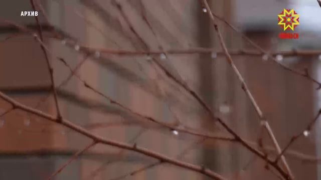 Республика 12.03.2026 на русском языке. Вечерний выпуск