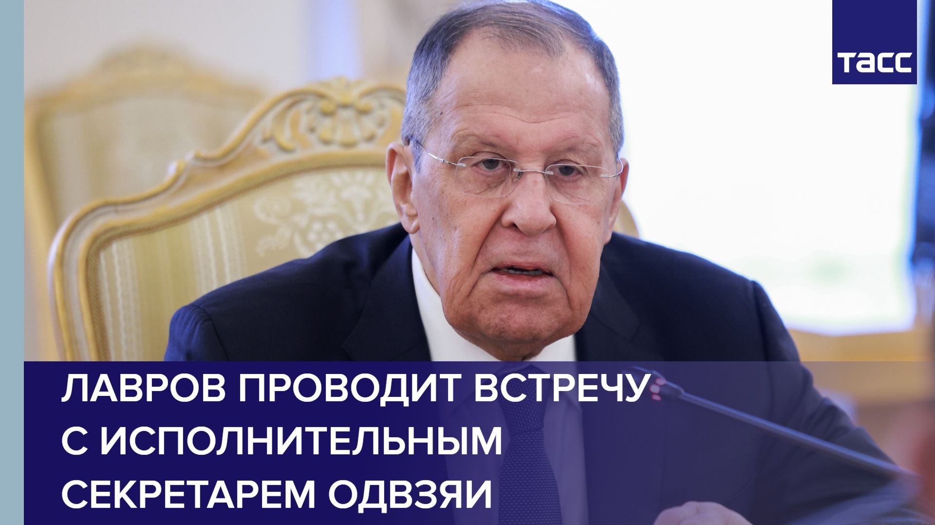 Лавров проводит встречу с исполнительным секретарем ОДВЗЯИ