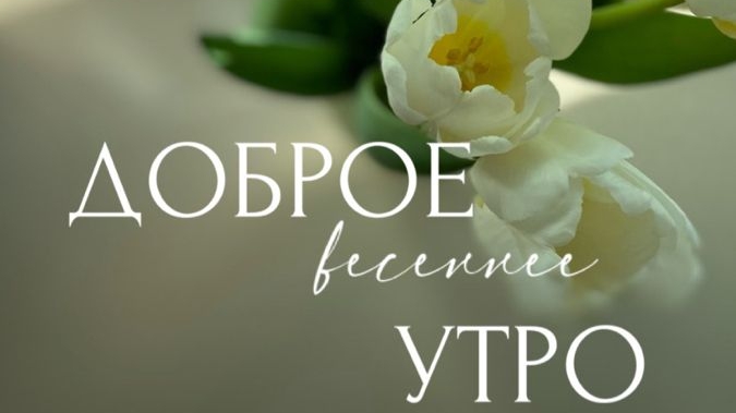 С добрым мартовским утром. Красивая музыкальная открытка.