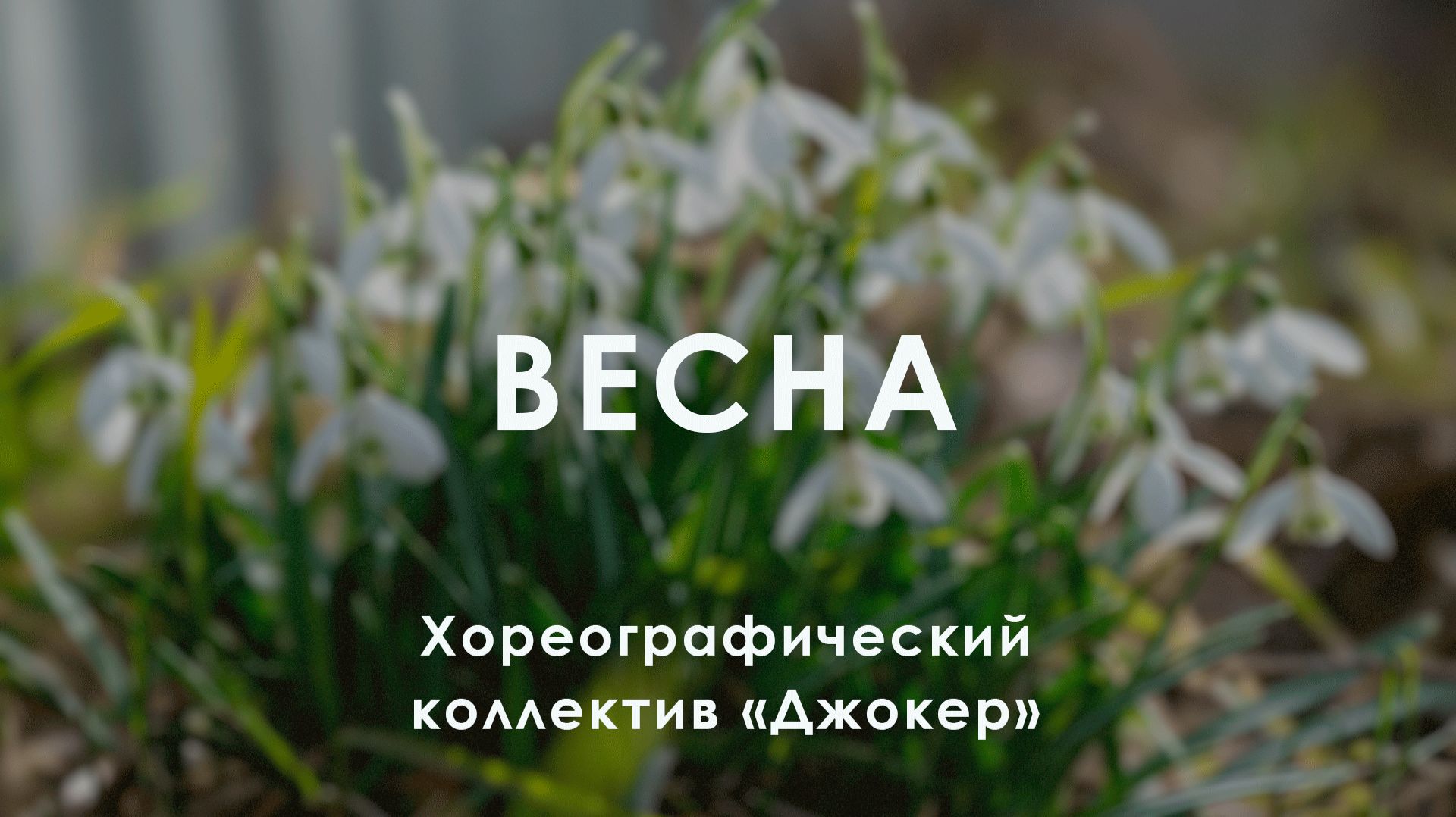 «С ЛЮБОВЬЮ К ЖЕНЩИНЕ» – Хореографический коллектив «Джокер» – «Весна»
