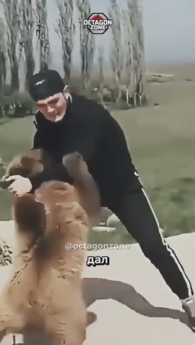 Хабиб был наказан отцом за плохое знание Корана #шорты #ufc #mma