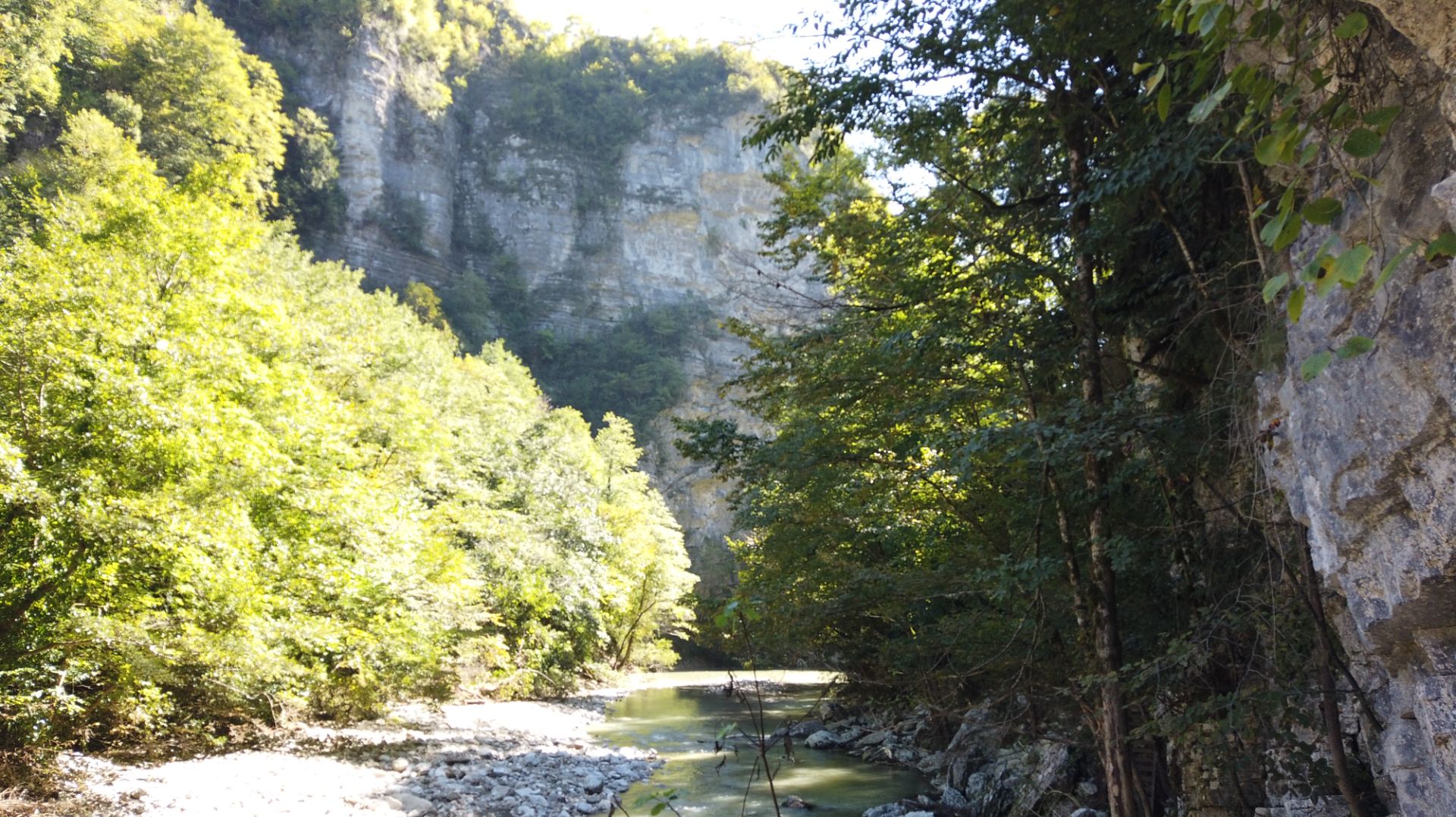 Тисо самшитовая роща. Каньон реки Хоста.