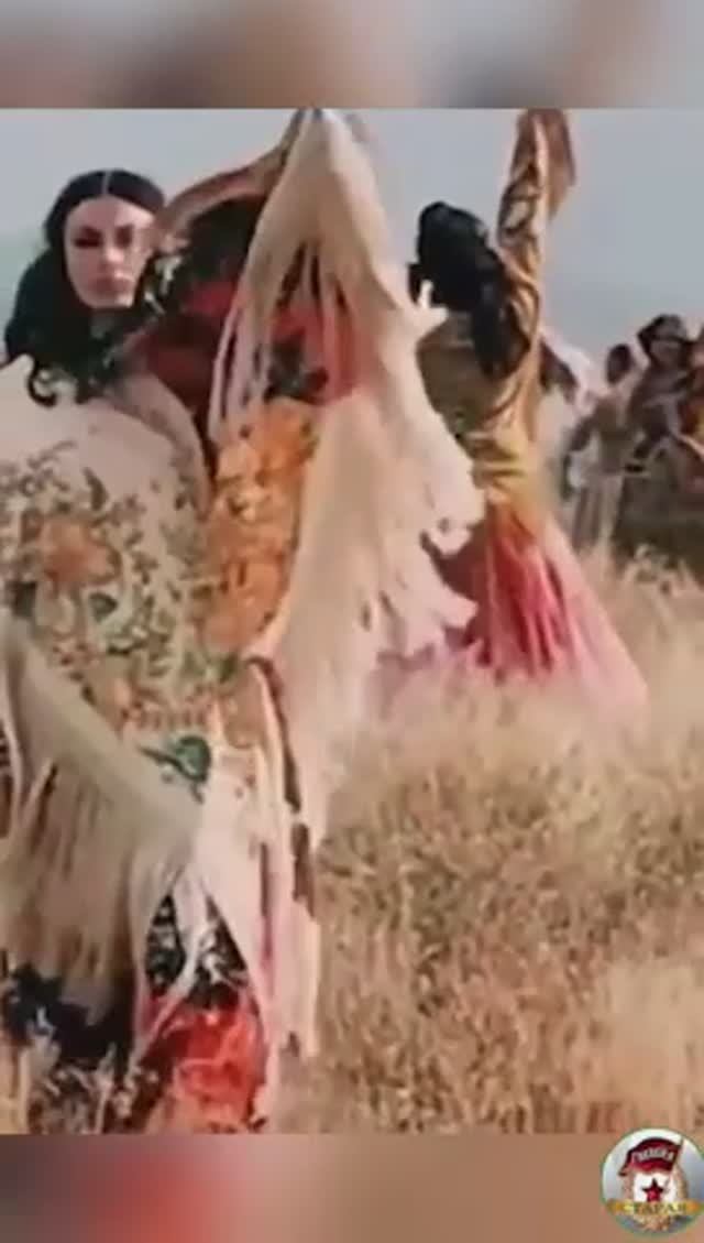 Вишня алая спелая