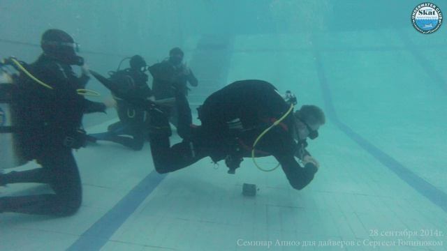 2014_09_28 - Семинар Апноэ для дайверов с Сергеем Гопинюком