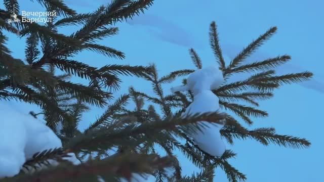 Снег будет идти на территории Барнаула в выходные дни