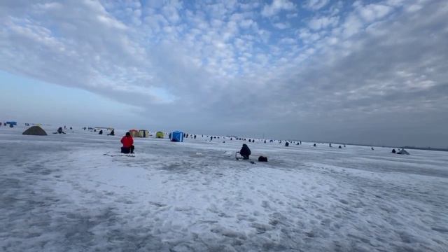 Ловля леща на Финском заливе