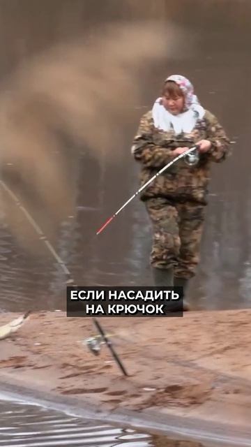 🐟🤔 Как подобрать наживку для рыбалки