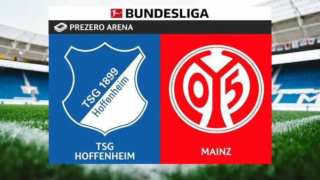 Бундеслига/Хоффенхайм-Майнц
