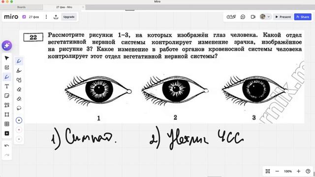 22 задание ОГЭ по биологии