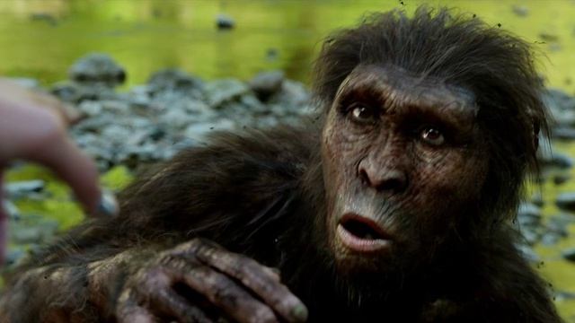 В знаниях о мире