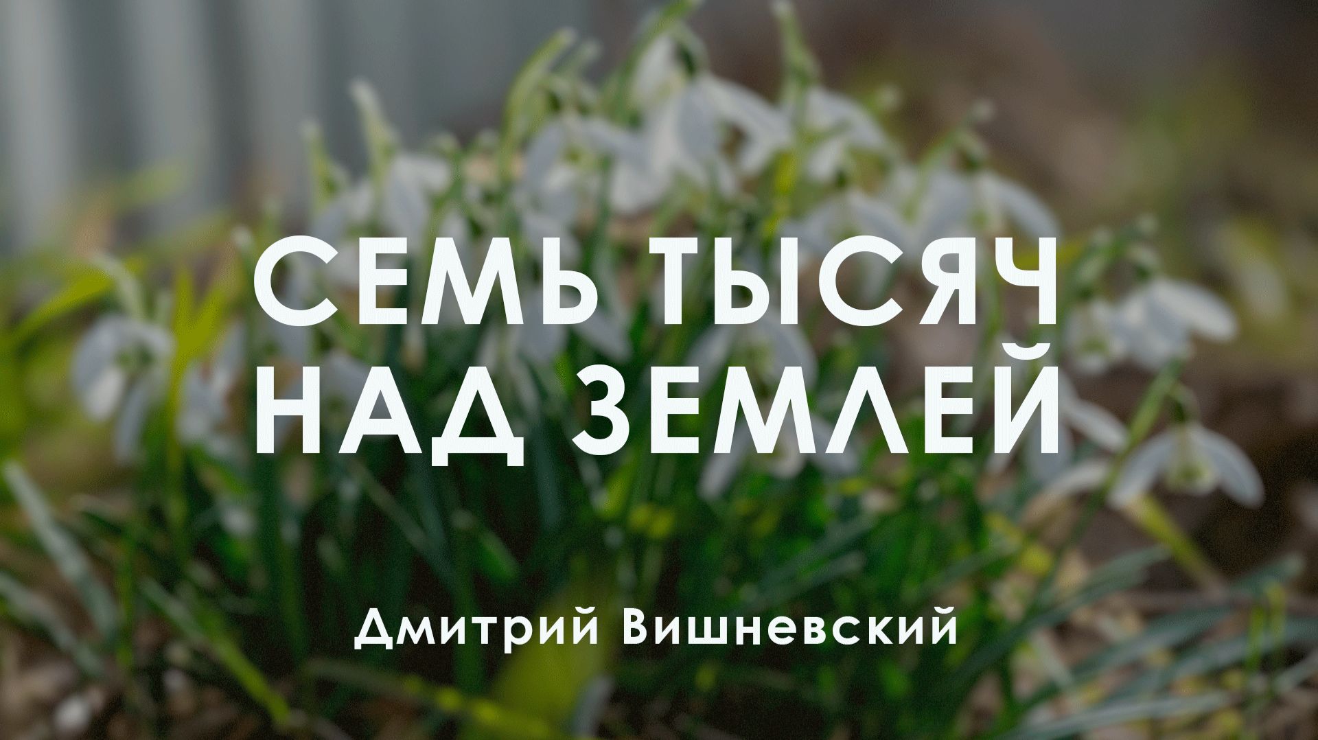 «С ЛЮБОВЬЮ К ЖЕНЩИНЕ» – Ректор ДонГТУ Вишневский Д.А. – «Семь тысяч над землей»