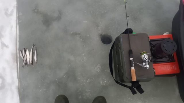 Ловля корюшки на Финском заливе