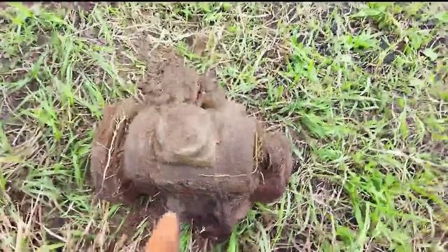 ЗАЧЁТНЫЕ НАХОДКИ СДЕЛАЛИ КОП!!! МЕТАЛЛОКОП С ТХ-850! Видео из архива!!!