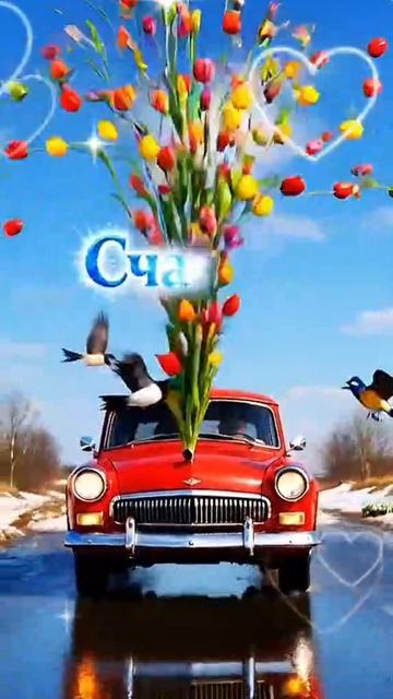 Позитивчик для подписчиков. Сегодня пятница 13 марта. Всем удачи и отличных выходных.