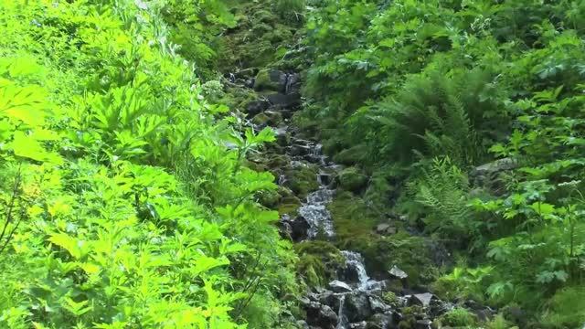 Звуки природы — журчание горных ручьёв и рек | звук воды для релакса и сна (4K)