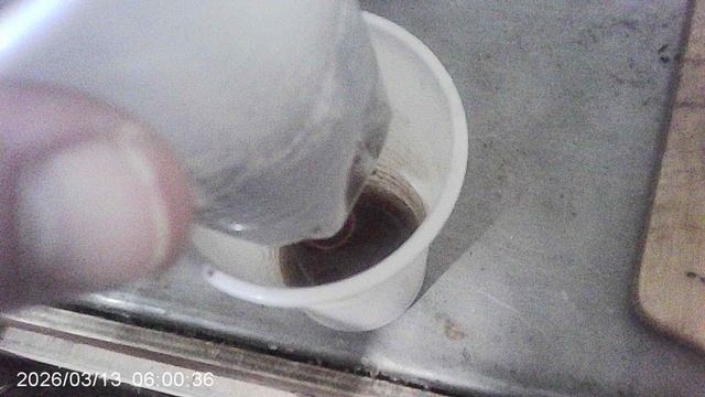 Обзор февральского кабачка "Чёрный Красавец" в стадии рассады