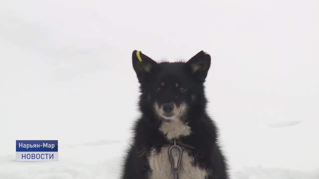 В РАМКАХ ЗАКОНА