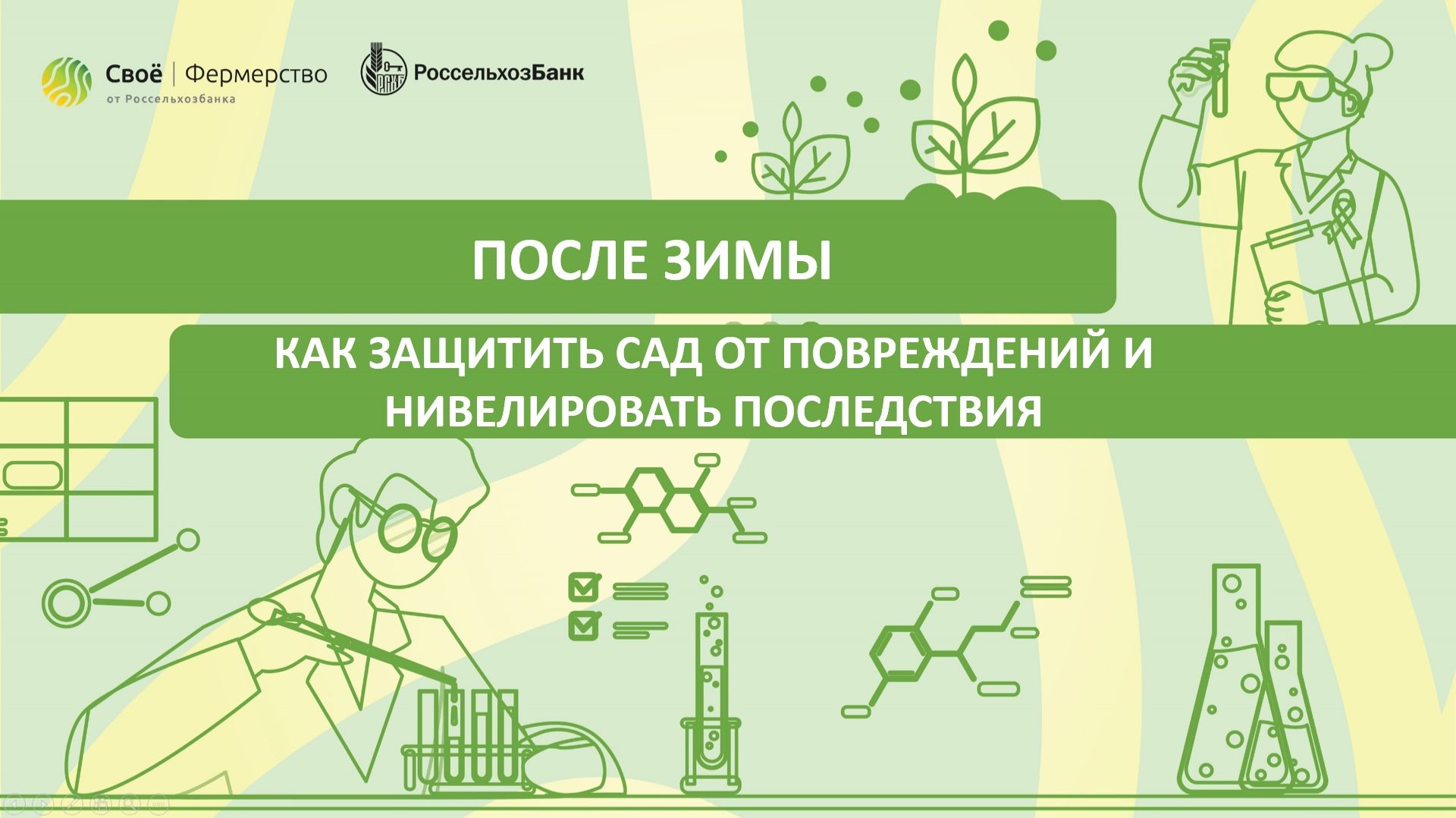 После зимы: как защитить сад от повреждений и нивелировать последствия