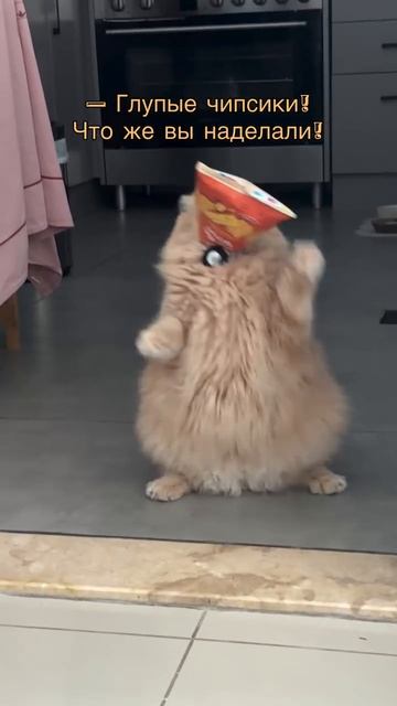 ААааа, проклятые чипсики