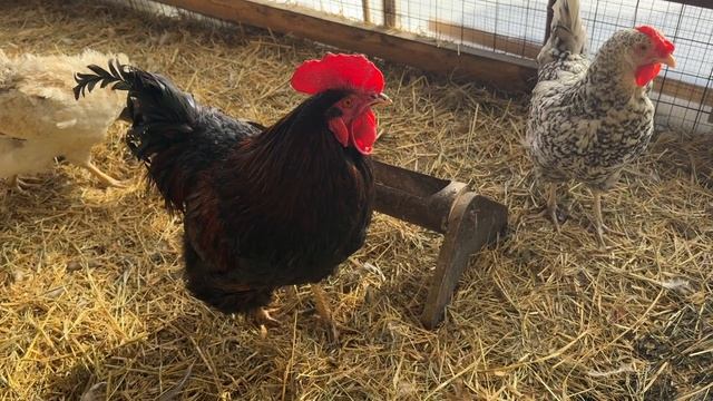 Весна пришла!