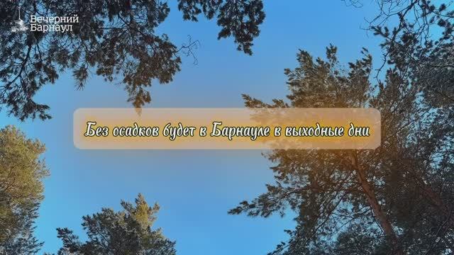 Без осадков будет в Барнауле в выходные дни