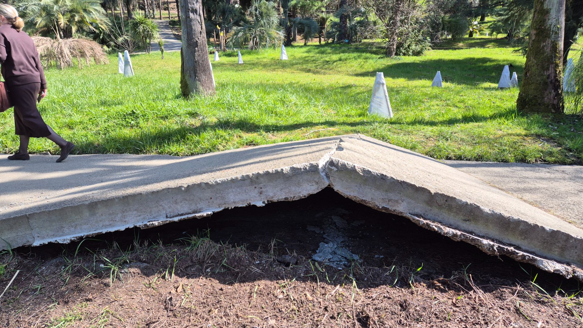 Сочи парк Дендрарий после землетрясения или оползень?