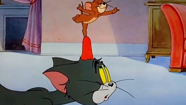 Томи молоко