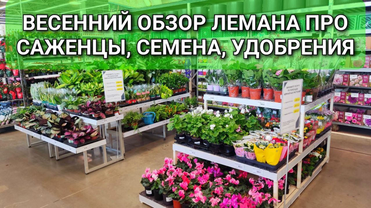 Весенний обзор цен на товары для сада и огорода в ЛЕМАНА ПРО: саженцы, семена, удобрения 🌸🌱🥒