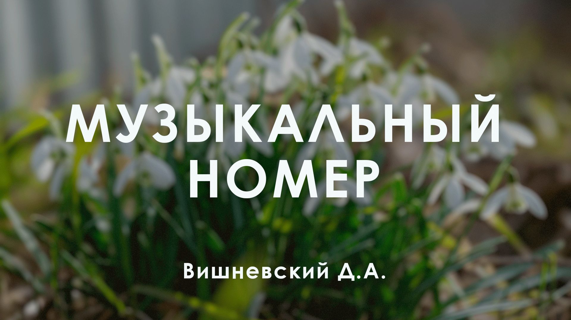«С ЛЮБОВЬЮ К ЖЕНЩИНЕ» – Ректор ДонГТУ Вишневский Д.А. – Музыкальный номер