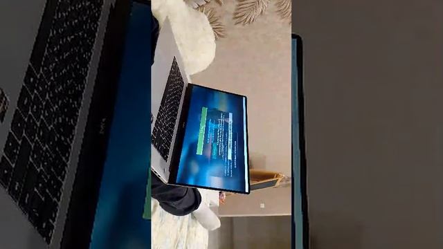 играю в игру на ноутбуке