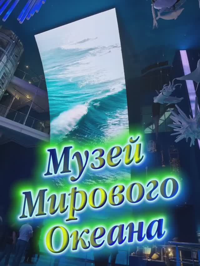 13.03.26 Интер активное Шоу🌊👀🌊