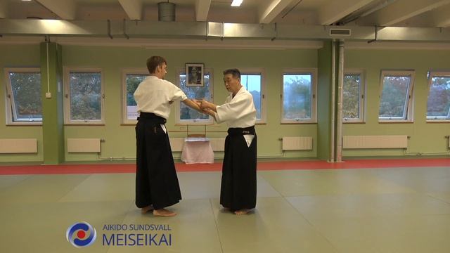 11.Aikido Ai Hanmi Iriminage Omote Middle Position Shishiya Sen